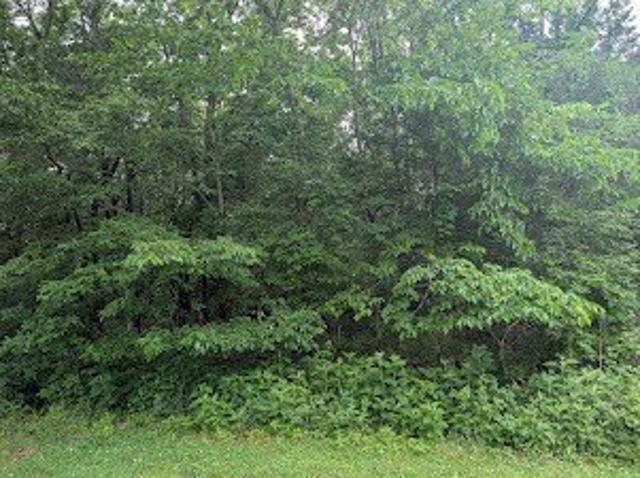 171 Echols Rd, Elora, TN 37328