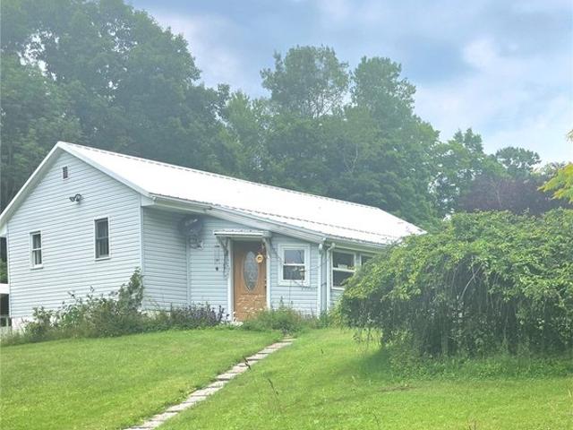 171 Haskins Rd, Erin, NY 14838