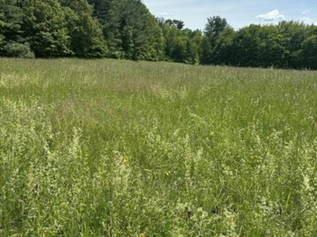 171 Orchard Rd, Columbia, NY 12075