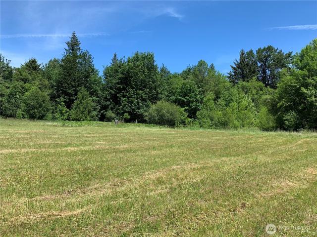 171 Mask Ln, Toutle, WA 98649 | MLS #2342 | Compass