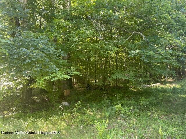 171 Woodland Drive