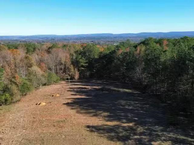 171 WATER TANK RD # 1.62, HAYDEN, AL 35079 Vacant Land For Sal.