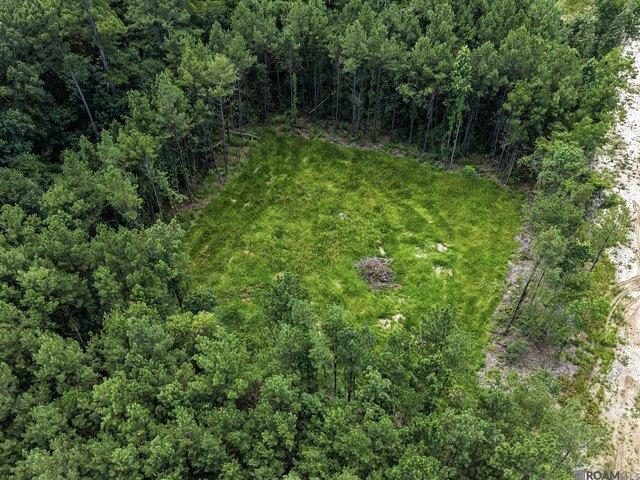 17249 Jack Allen Rd, Livingston, LA 70754