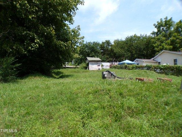1724 McGee St, Kingsport, TN 37660