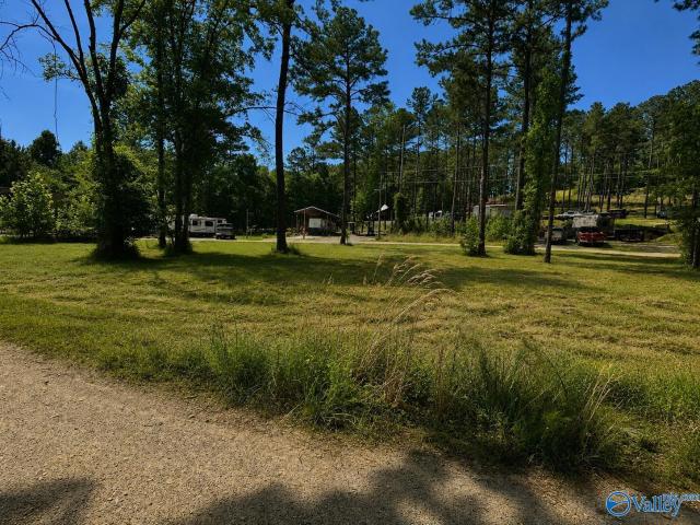 1725 County Road 182 4