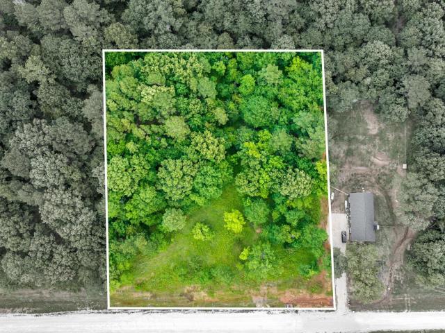 17260 Stella Maris St, Winona, TX 75792 | MLS #25007