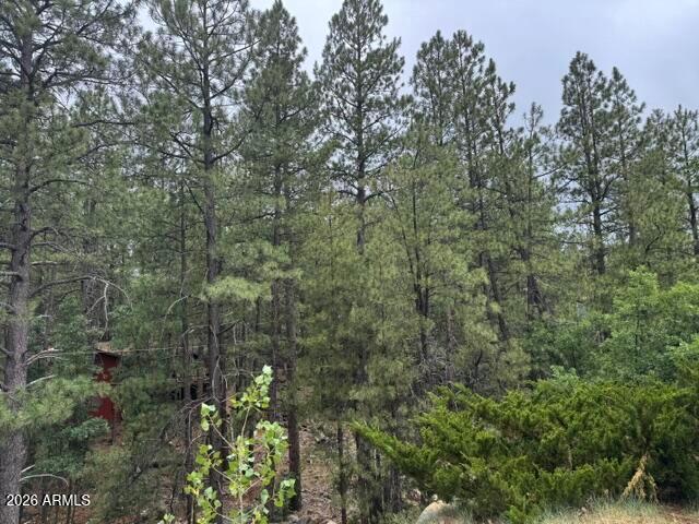 17270 grizzly ridge road