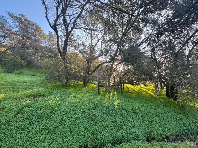17278 Hillcrest Ave, Sonoma, CA 95476 | MLS #326006