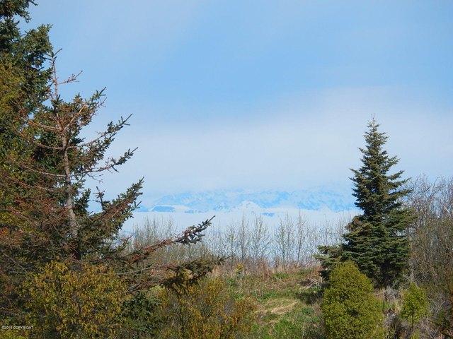 17286 Hyila Ln, Ninilchik, AK 99639