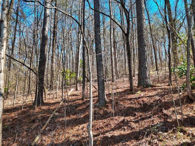 1728 Spring View Lane