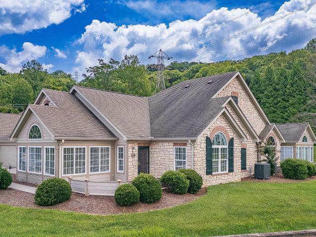 1729 Skyland Falls Court 1729