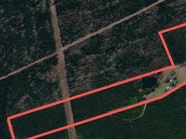 17201 US Highway 280, Claxton, GA 30417