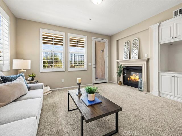 17206 Coriander Court