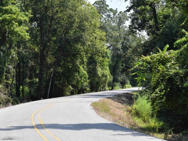 17206 La Hwy, Prairieville, LA 70769 | MLS #BR2025019