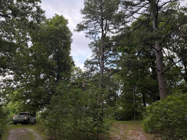 1720 Mountain View Rd Road
