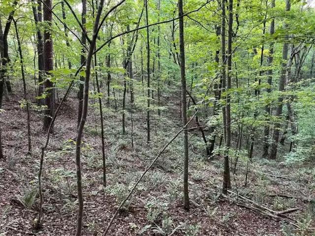 1720 Rebekah Ridge Rd, Talking Rock, GA 30175 MLS 7382903