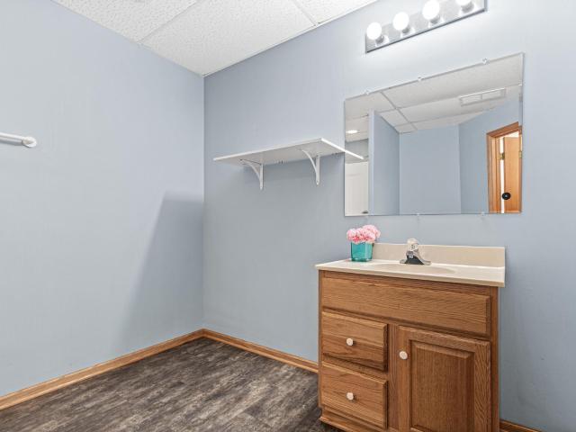 17213 Van Buren St NE, Ham Lake, MN 55304 | MLS #7081