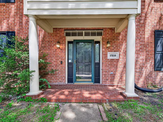 17210 Palm Falls Court