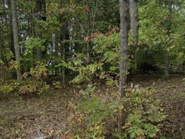 17214 Batestown Rd, Dumfries, VA 22025