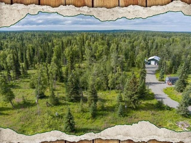 17215 Lunchbox Dr, Ninilchik, AK 99639