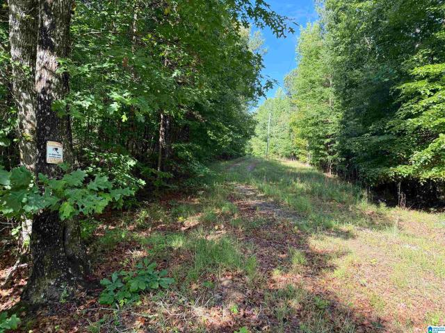 1721 County Road 823 # N/A