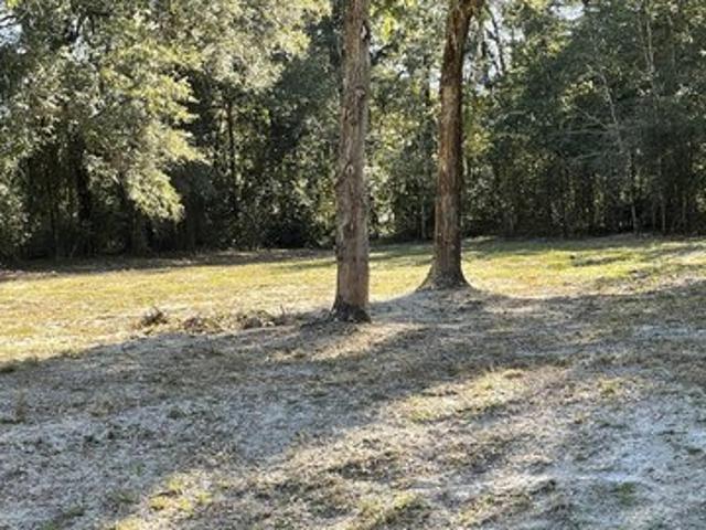 1721 Hagans Ridge Ct, Green Cove Springs, FL 32043