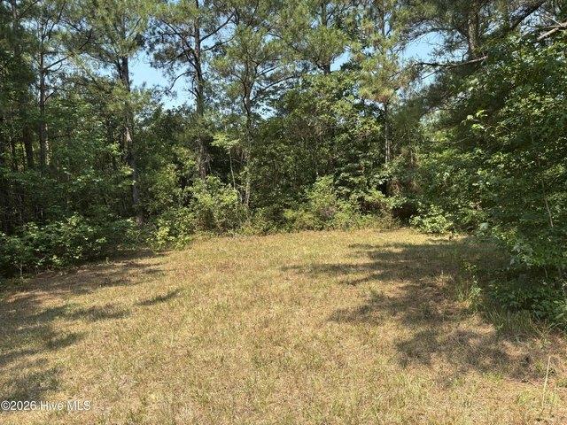 1721 Small Town Rd, Pink Hill, NC 28572