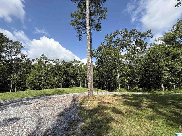 1721 Westover Rd Lot 0, Sterrett, AL 35147