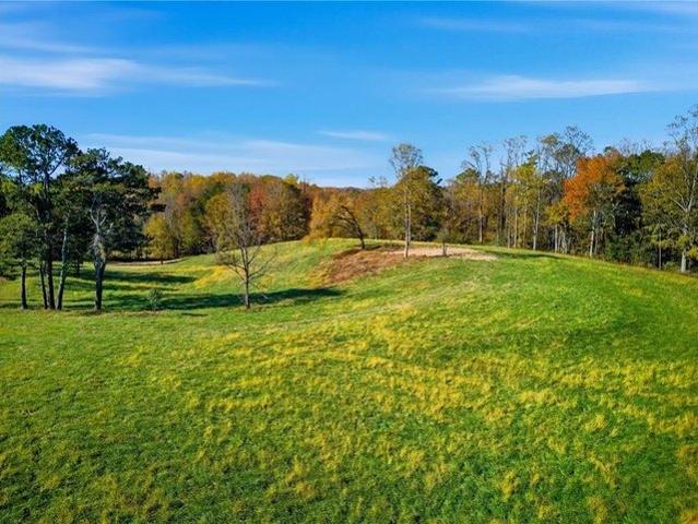 17230 Birmingham Hwy, Alpharetta, GA 30004