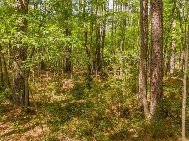 1723 Pineview Ln, Hideaway, TX 75771