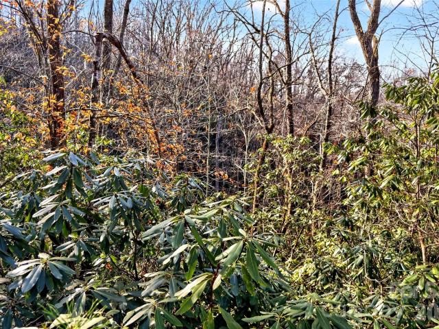 172 Crimson Dr, Unit 995, Old Fort, NC 28762 | MLS #4325