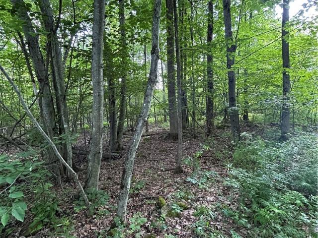 172 Aurora Dr, Norwich, NY 13815 | MLS #R1616