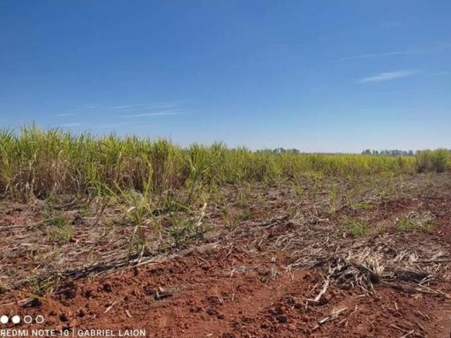 172 hectares em Araxá