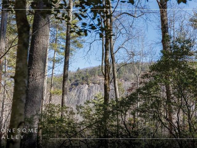 172 Lonesome Valley Rd Lot 172, Sapphire, NC 28774