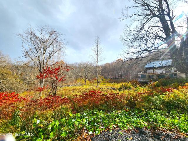 172 Mace Hill Road