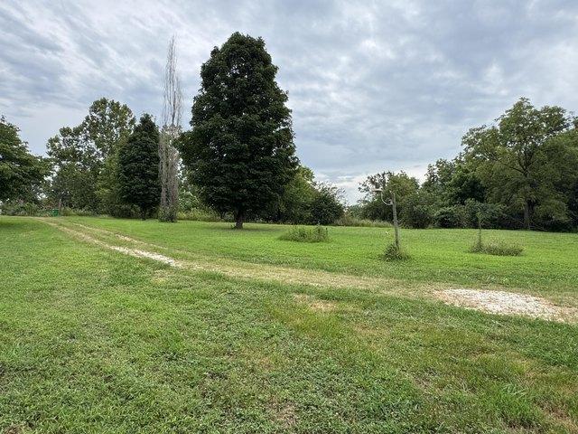 172 S Dade 249, Walnut Grove, MO 65770