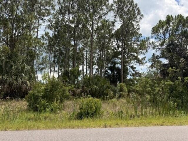 172 SW Lamar St, Palm Bay, FL 32908