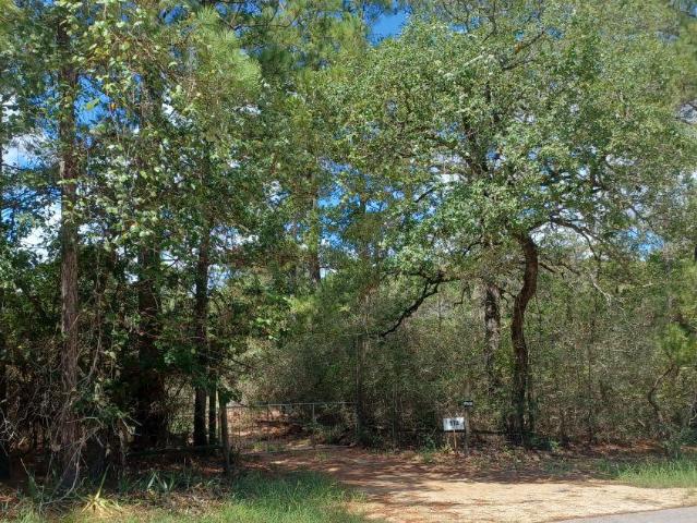 172 Pine Canyon Dr