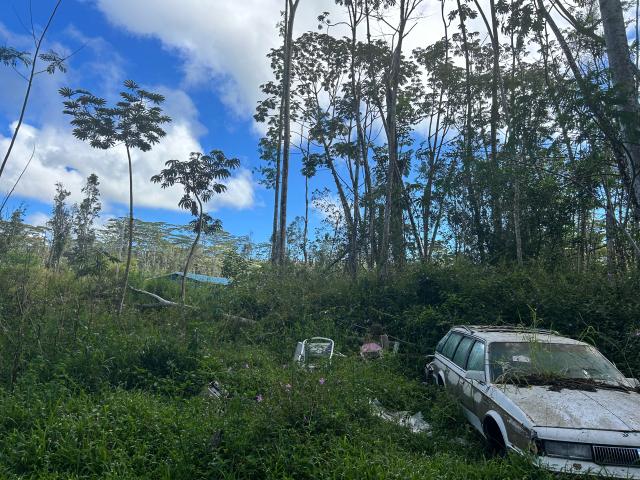 172 Plumeria Rd, Pahoa, HI 96778 | MLS #722790