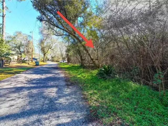 17353 RIVER RD, SUMMERDALE, AL 36580 Vacant Land For Sale MLS.