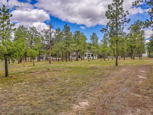 17350 Goshawk Rd, Colorado Springs, CO 80908 | MLS #2551