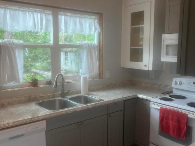 1735 Pinckney Park Drive