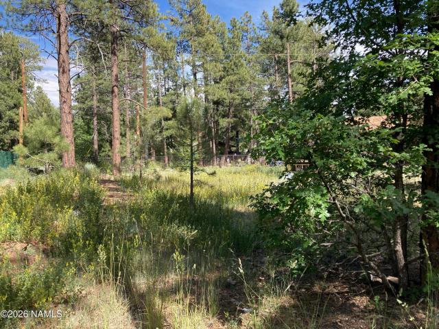 17375 Crystal Brook Pl, Munds Park, AZ 86017 | MLS #204804