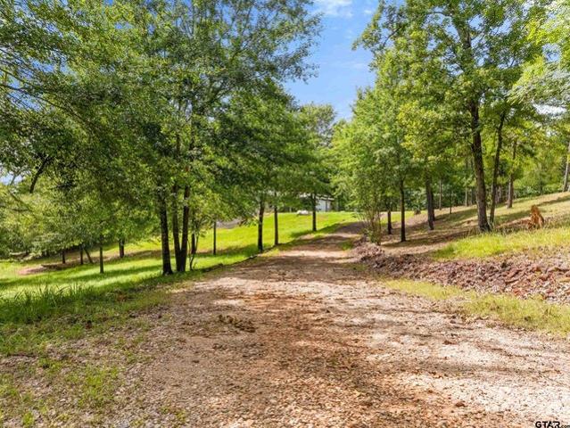 17379 County Road 318, Tyler, TX 75706
