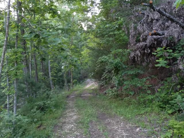 1737C High Rock Road