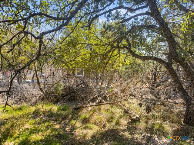 1738 Cave Dr, Spring Branch, TX 78070 | MLS #605497