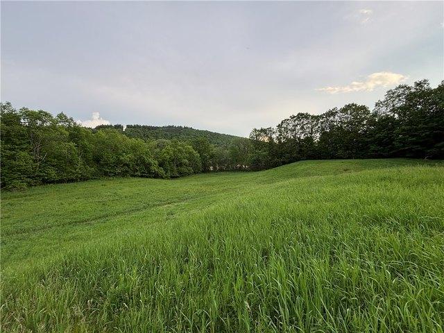 1738 County Highway 34, Schenevus, NY 12155