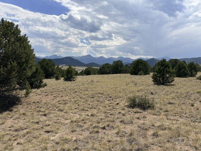 1739 17th Trl, Cotopaxi, CO 81223