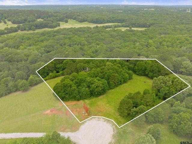 17308 Pius Pl S, Winona, TX 75792