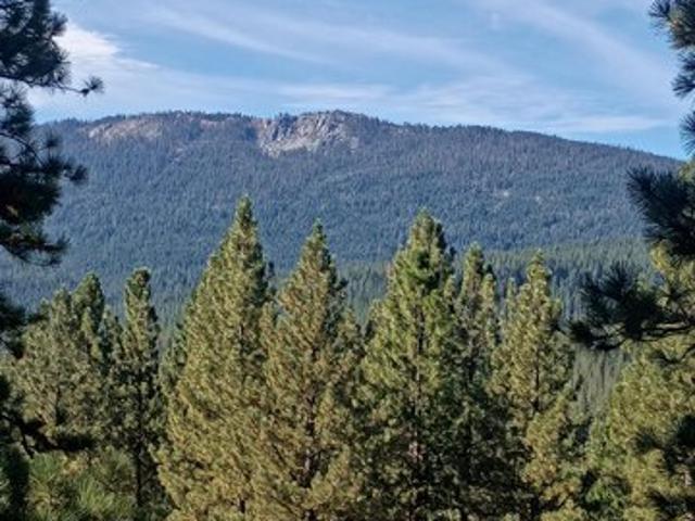 1730 Grey Squirrel Rd, Clio, CA 96106